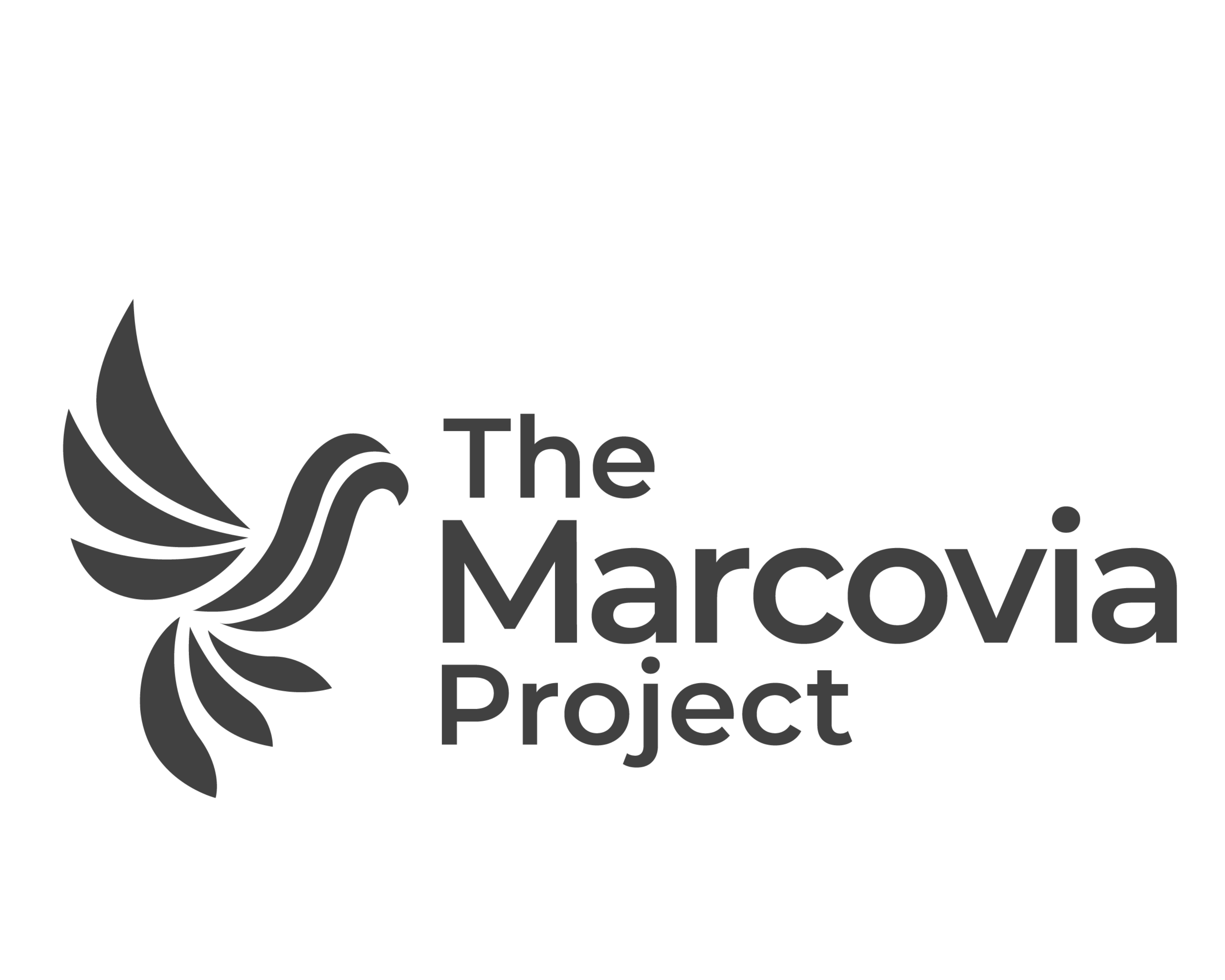 The Marcovia Project – themarcoviaproject